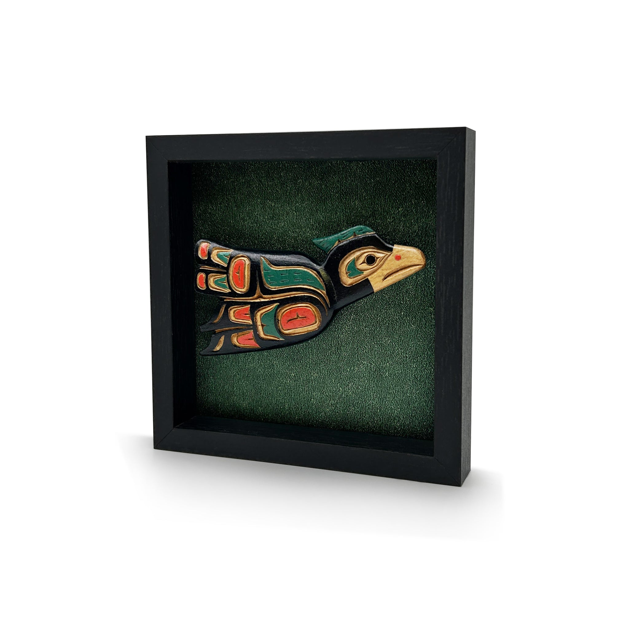 Steller's Jay Shadow Box Frame